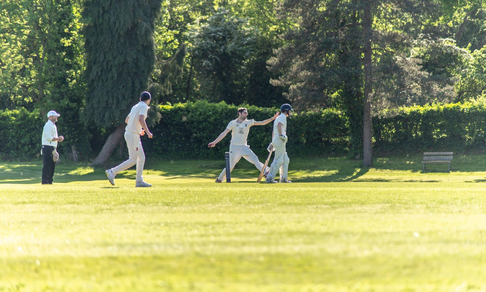 1st XI bounce back and 3’s remain unbeaten – Kenilworth Cricket Club